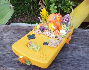 Charmander Terrarium | Etsy