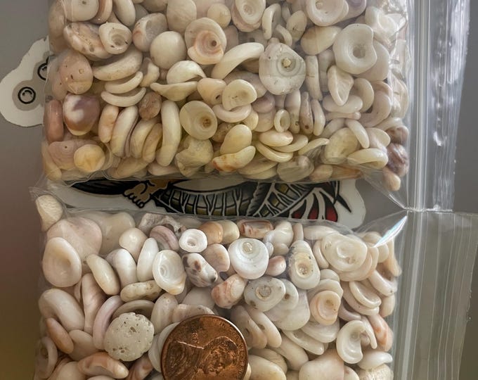 Mishaped***hawaiian Puka Shells - Etsy