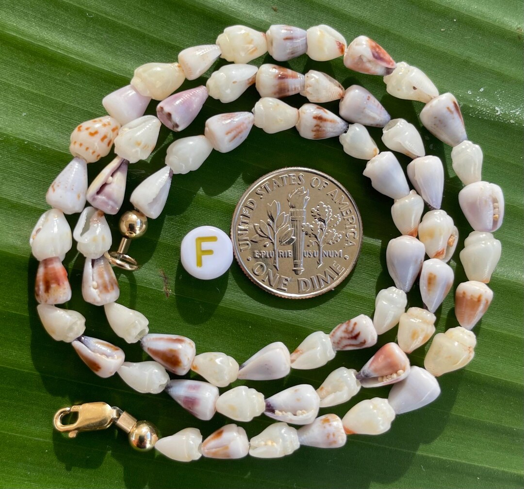 Hawaiian Cone Shell and Momi Shell Necklace - Etsy