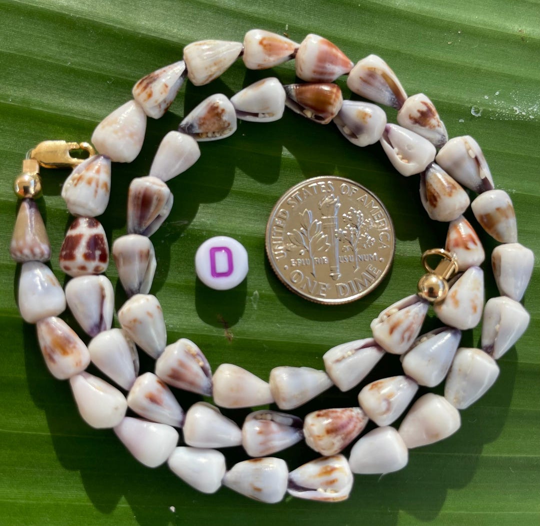 Hawaiian Baby Cone Shell Necklace - Etsy