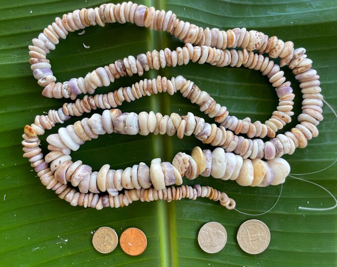 Hawaiian Puka Shell Strand Colors - Etsy
