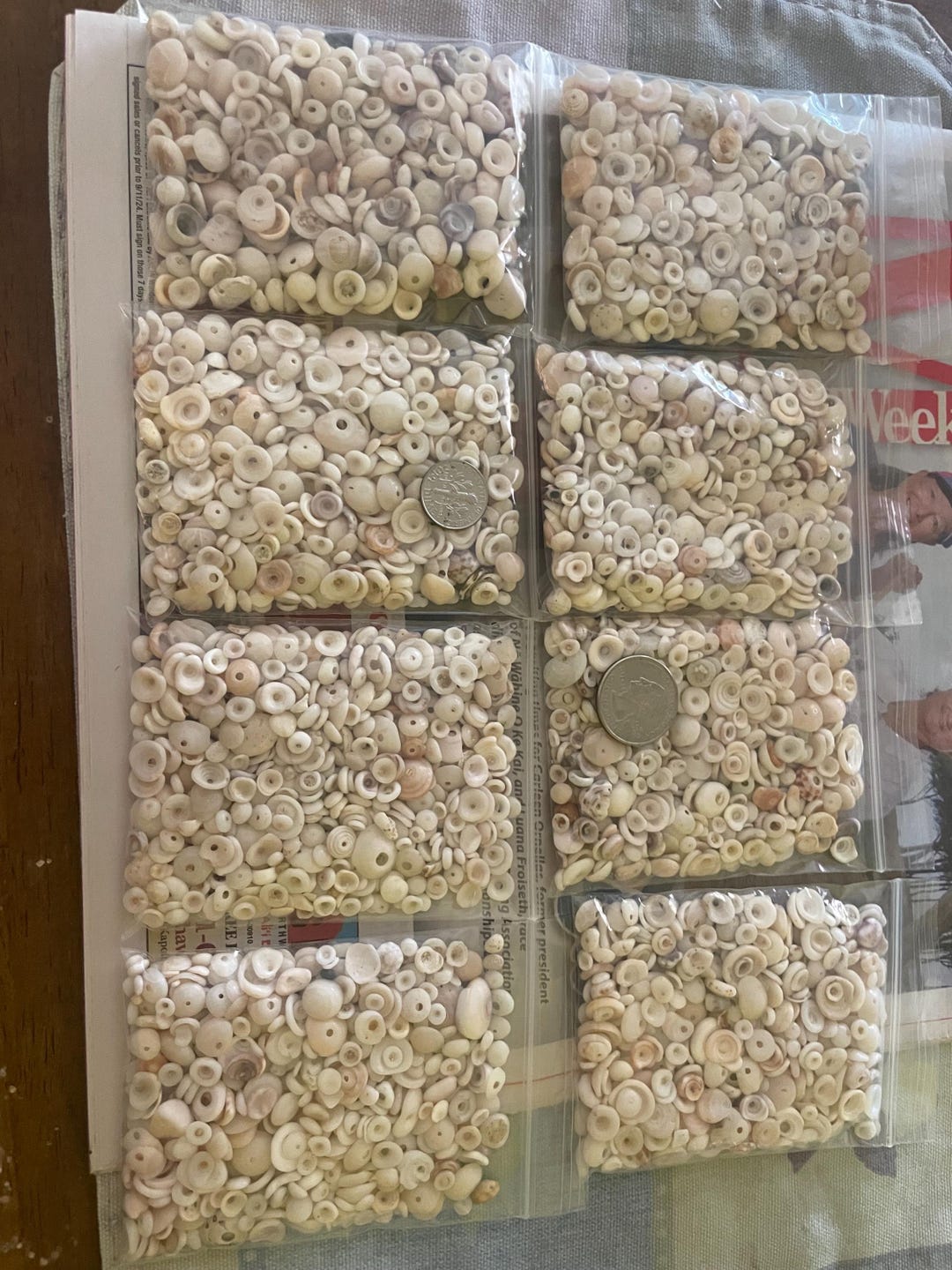 Hawaiian Puka Shells - Etsy