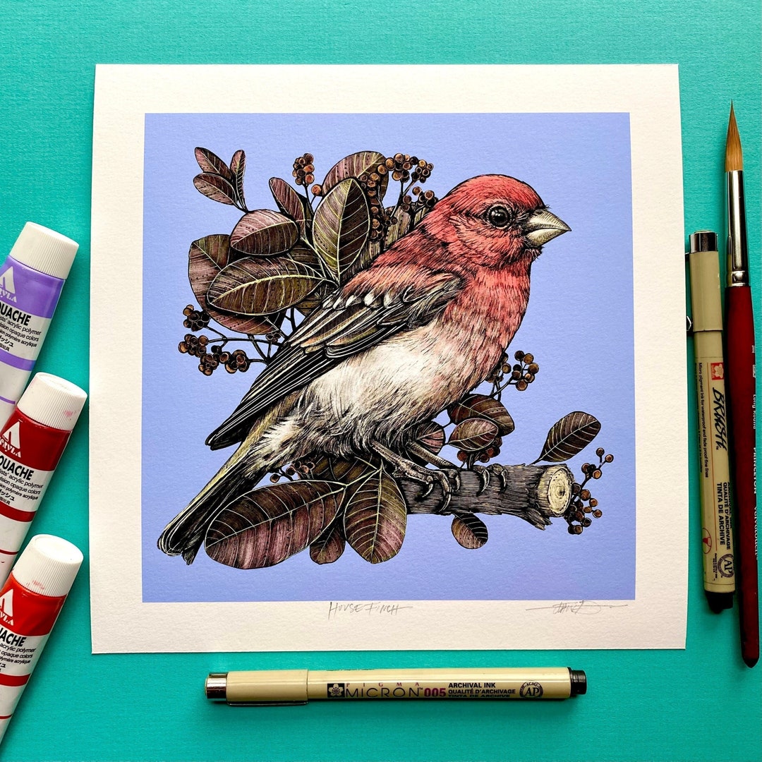 House Finch ~ Fine Art Print, Finch, Bird Art, Bird Artist, Bird ...