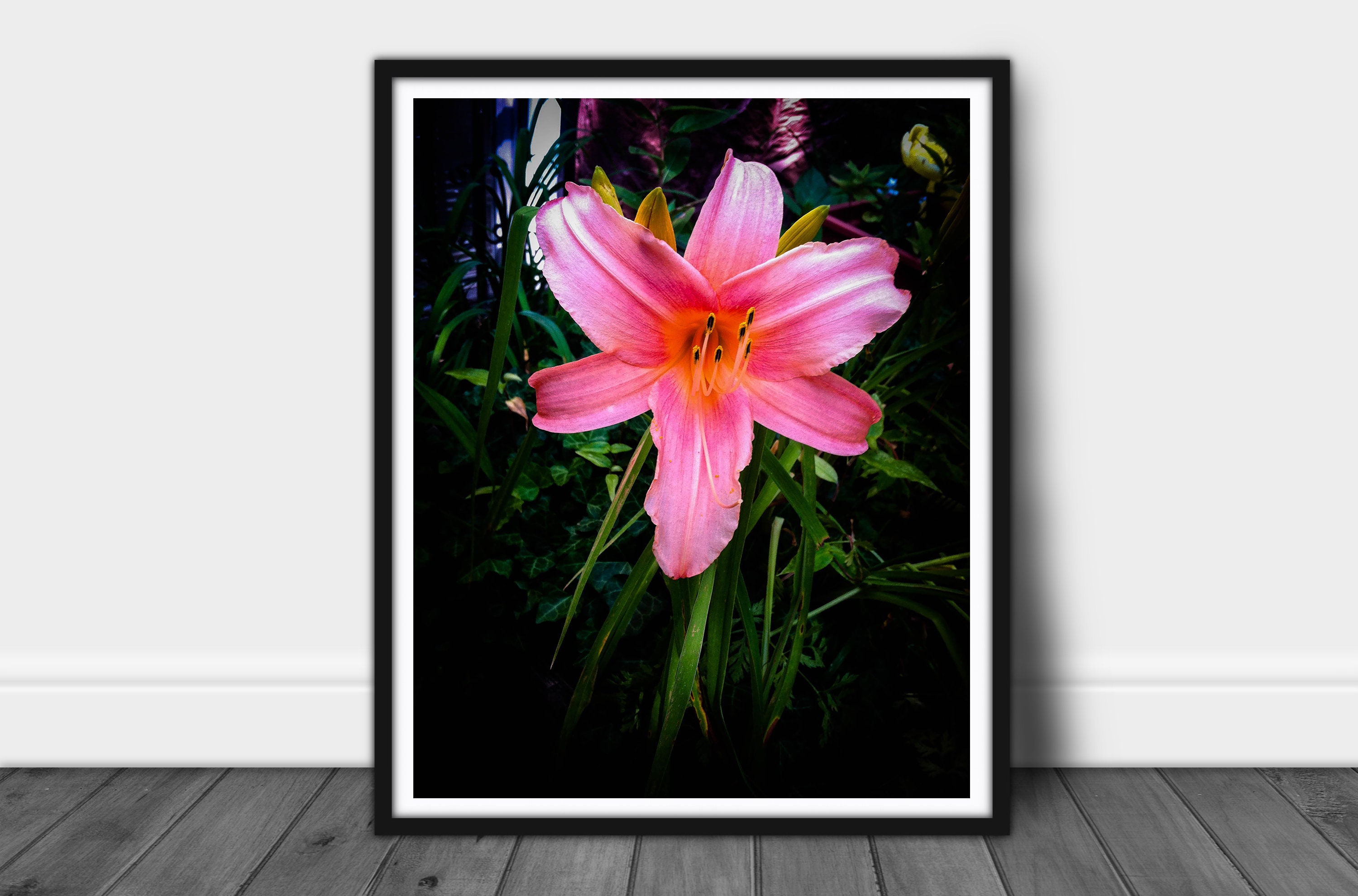 Pink Lily, Pink Flower, Flower Prints, Flower Photography, Garden Art ...