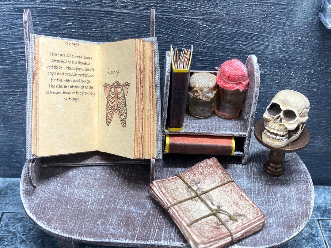 Human Skeleton Collection, Large Book, Bookcase, Bones, Skull, Etc B ...