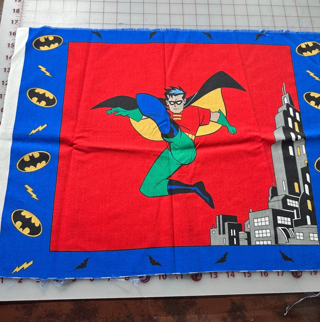 Batman & Robin Square Cheater Quilt DC Comics. Red Blue 90s Vintage ...
