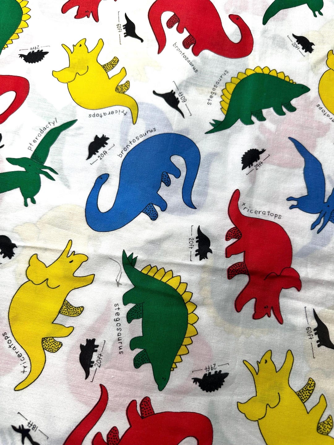Dinosaur Primary Colors Bright Triceratops Stegosaurus Pterodactyl ...