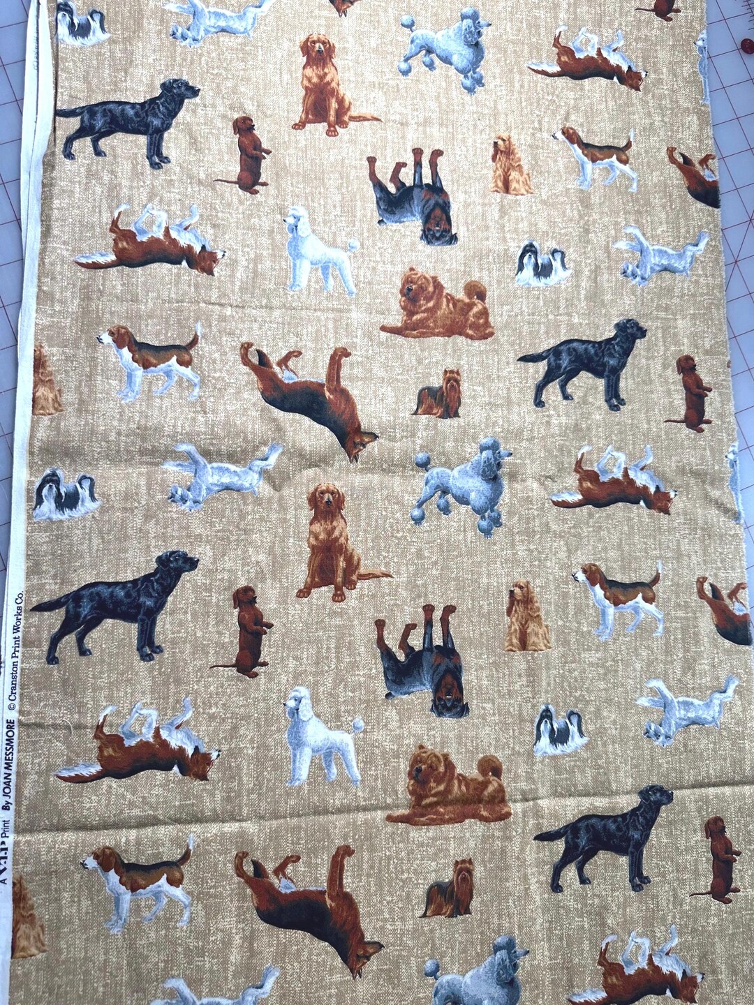 Dogs Tan Joan Messmore Rotweiller Poodle Vet 90s Vintage VIP Cranston ...
