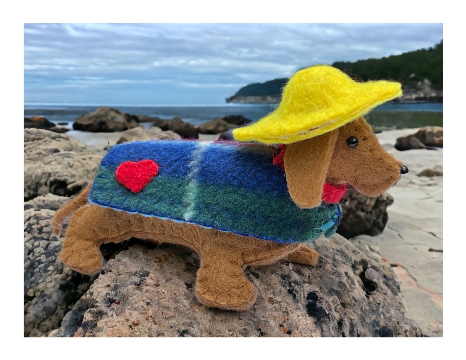 Dachshund Dog Craft Kit With Sou'wester and Tartan Coat/pattern - Etsy