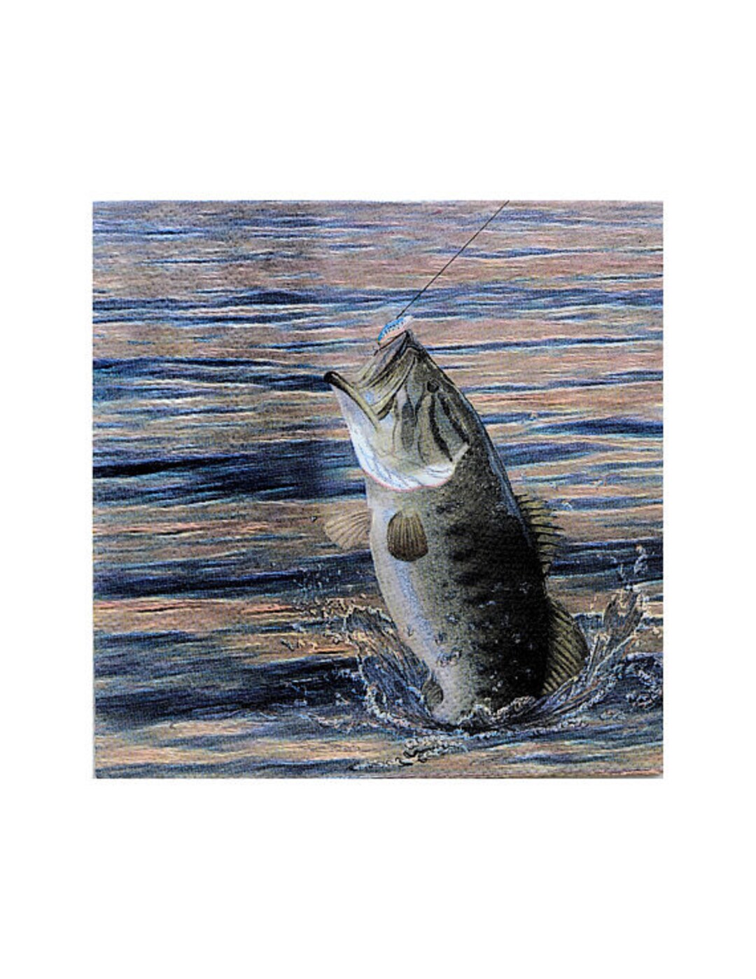 Bass Fish Napkins / Fish Party Napkins / Fishing Party Napkins / Bass ...