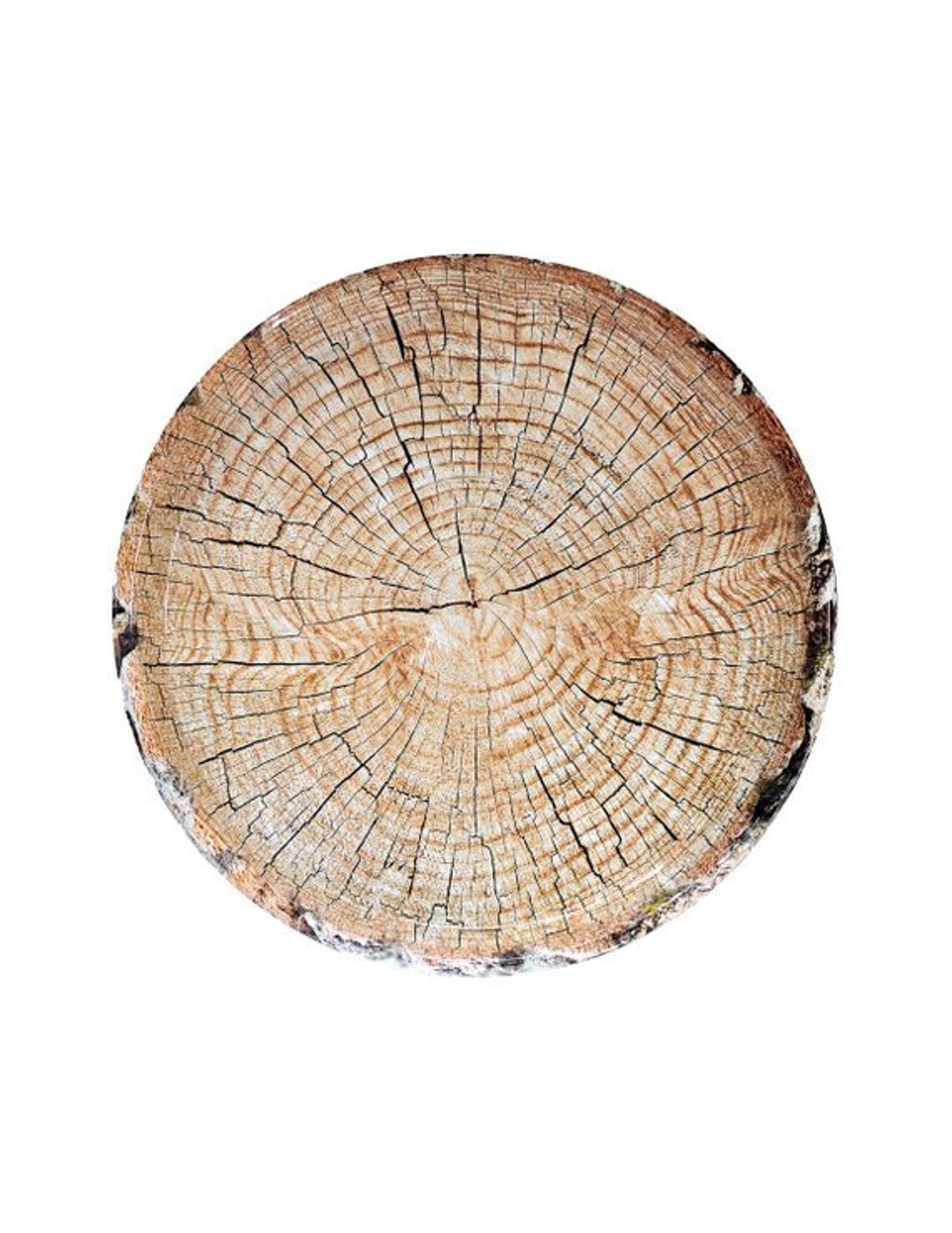 Small Tree Plates / Rustic Party Plates/ Hunting Party Plates/ Woodland ...