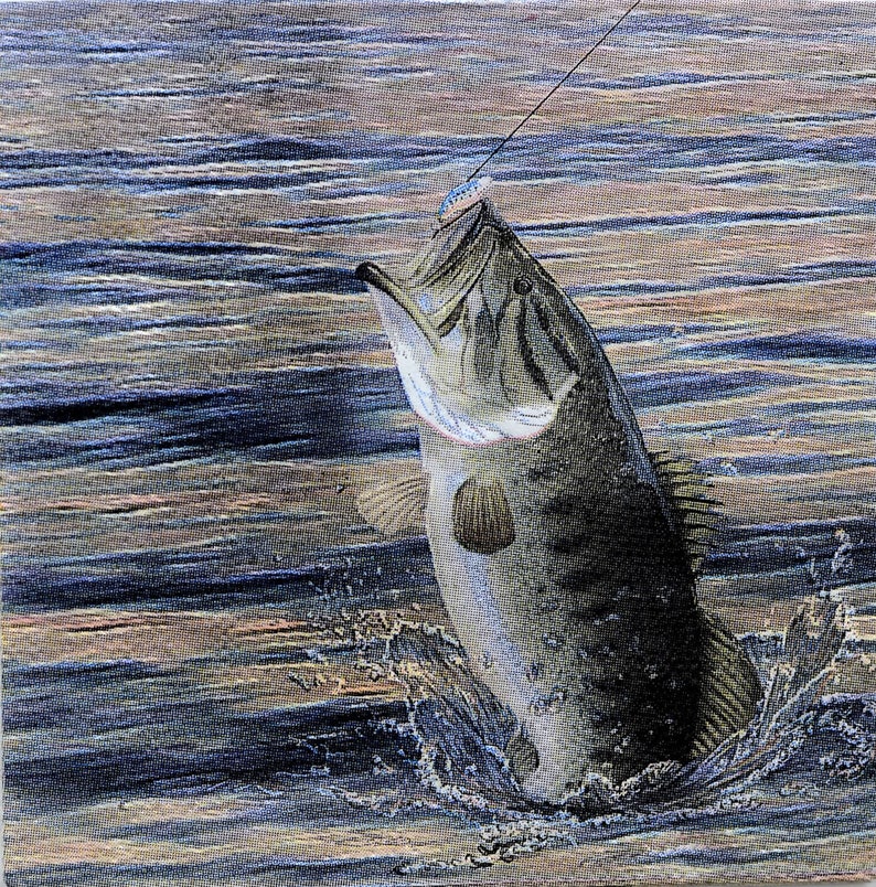 Bass Fish Napkins / Fish Party Napkins / Fishing Party Napkins / Bass ...