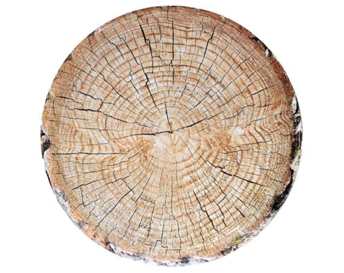 Large Tree Plates / Rustic Party Plates/ Hunting Party Plates/ - Etsy