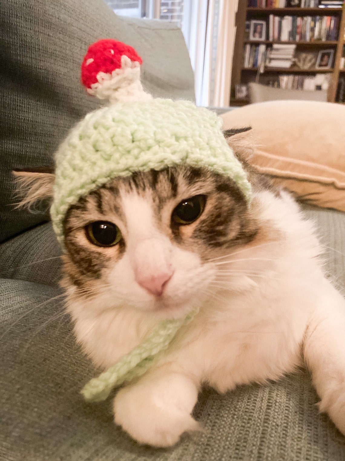 Mushroom Cat Hat Adorable Cat Hat Cute Cat Hat - Etsy
