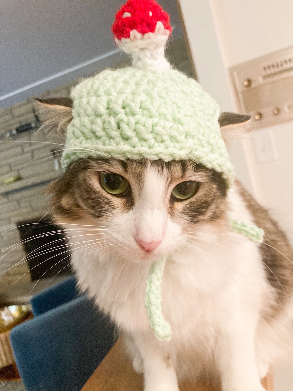 Mushroom Cat Hat Adorable Cat Hat Cute Cat Hat - Etsy