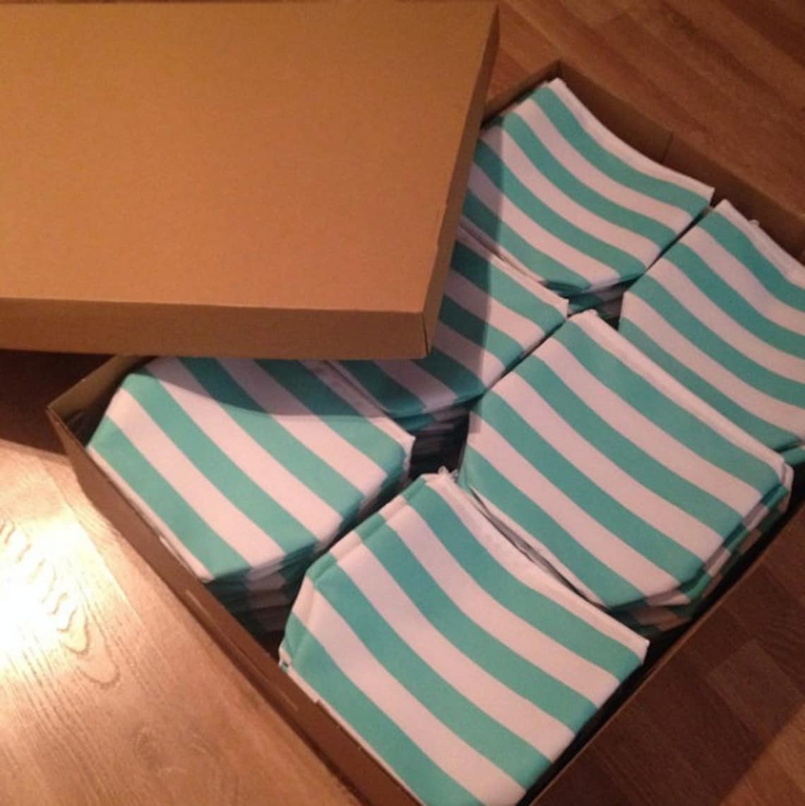 Waterproof Striped Case Turquoise Striped Case Zip Bag - Etsy