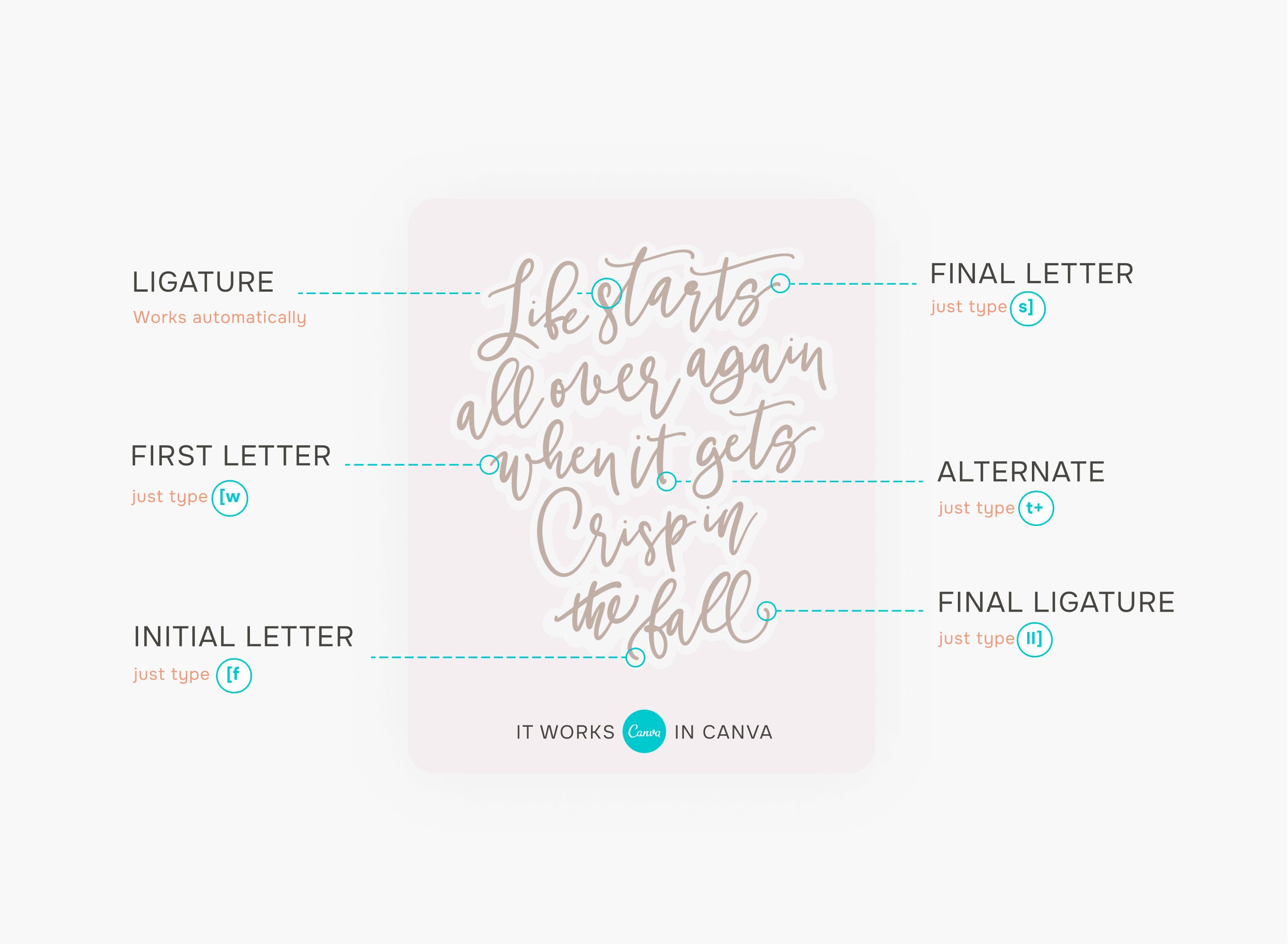 Betterfly Modern Calligraphy Font for Canva Templett or - Etsy