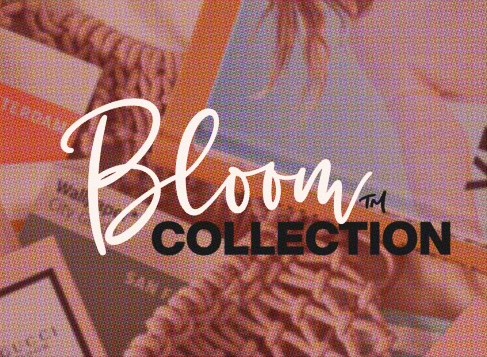 Betterfly Modern Calligraphy Font for Canva Templett or - Etsy