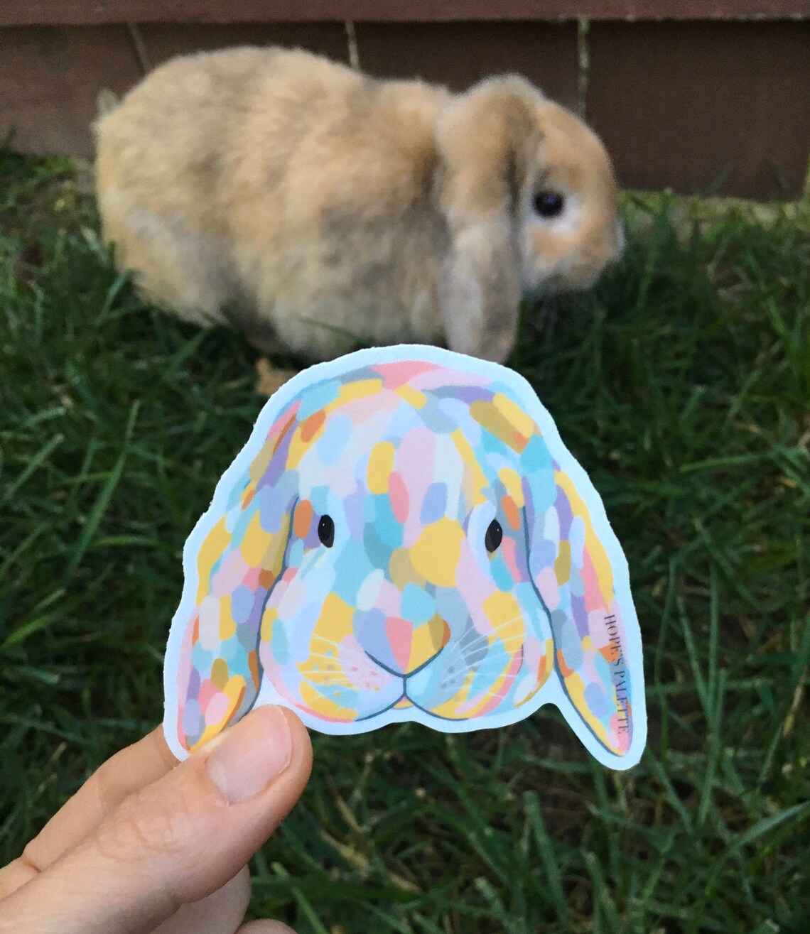 Colorful Rabbit Sticker Holland Lop Vinyl Sticker Floppy Ear | Etsy