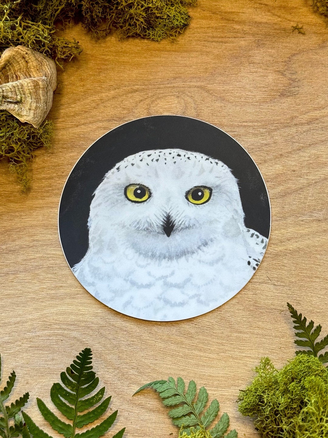 Snowy Owl, Waterproof Sticker, Owl Sticker, Snowy Owl Sticker. - Etsy