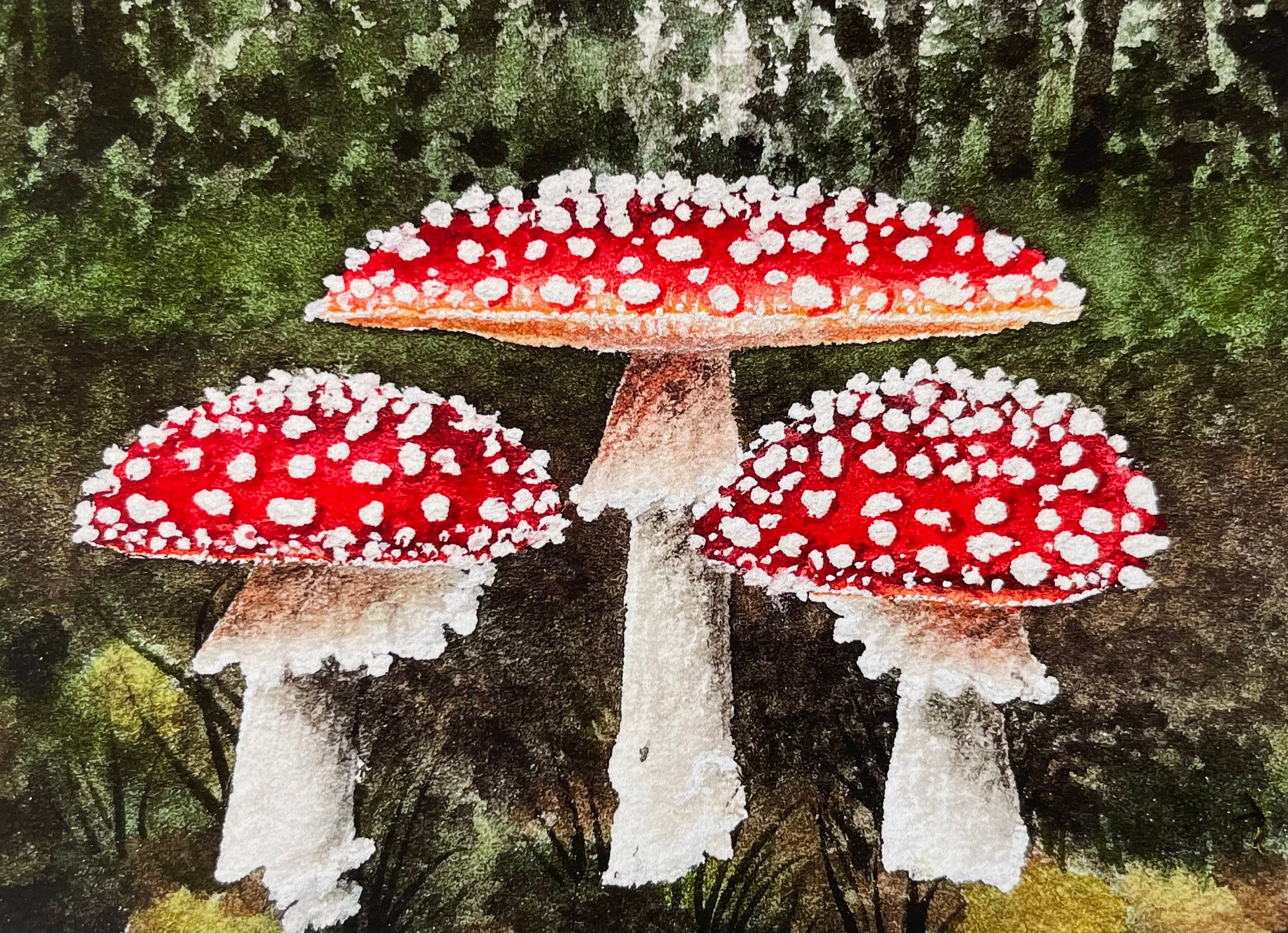 Three Amanitas, Mushrooms, Mushroom Art, Watercolor Mushrooms, Fly ...