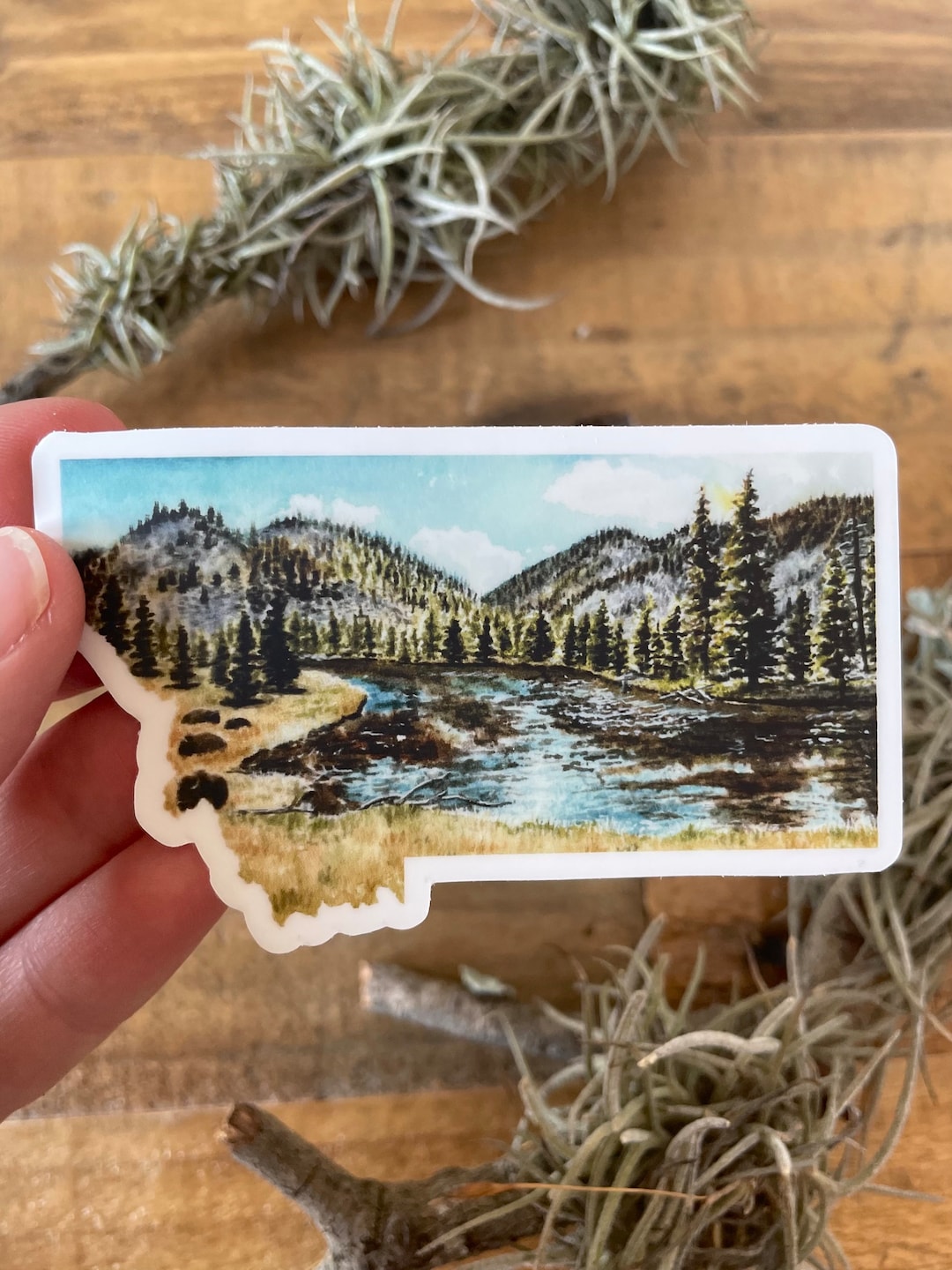 Montana Magnet, Yellowstone National Park, Bison Watercolor ...