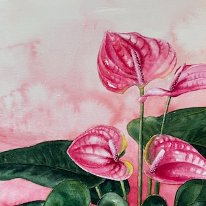 Pink Anthurium - Original Watercolor Painting (10 X 14in) - Etsy