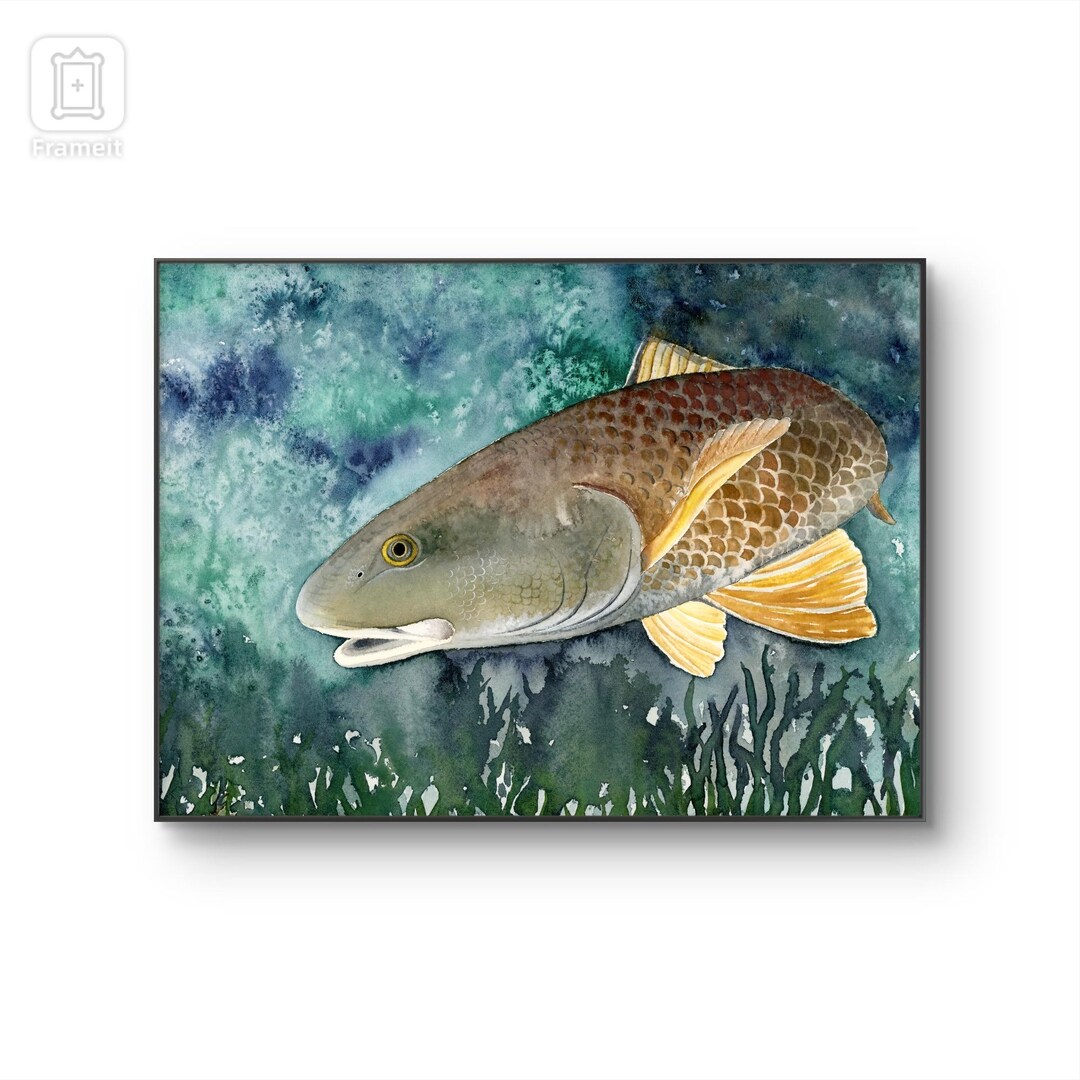 Redfish Gliclee Print - 4x6 - Watercolor. - Etsy