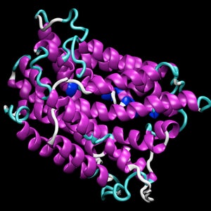 Custom 3D Printed Protein Molecule PDB 3A60 Crystal | Etsy
