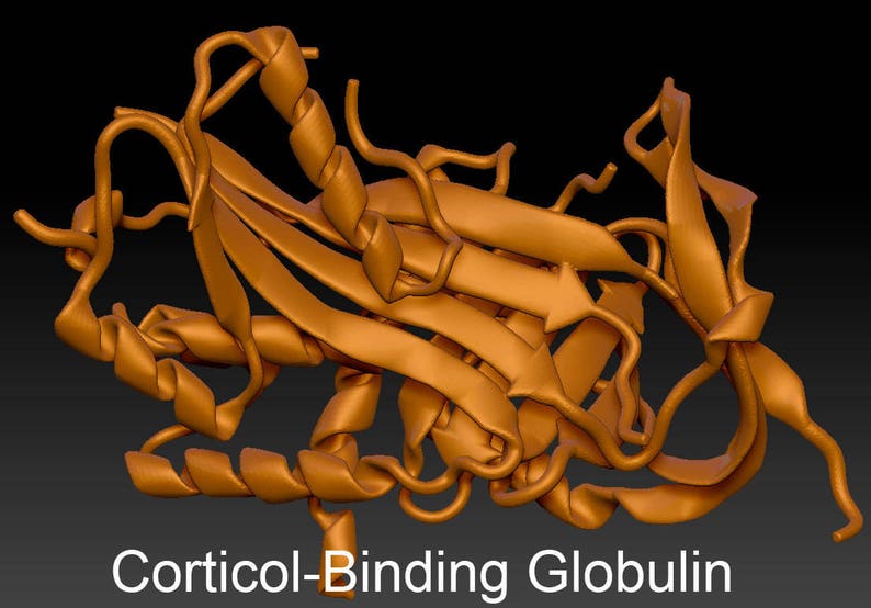 Custom 3D Printed Protein Molecule PDB 3A60 Crystal | Etsy