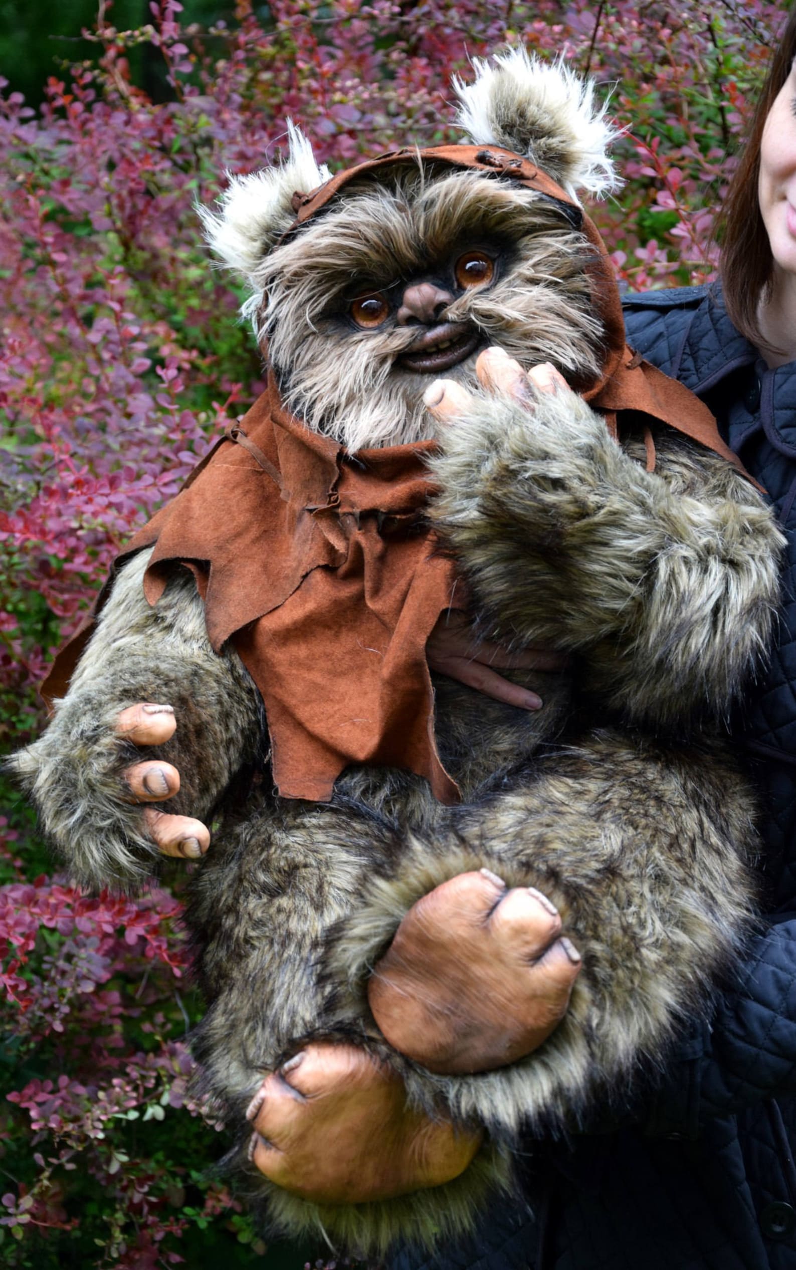 Ewok | Etsy