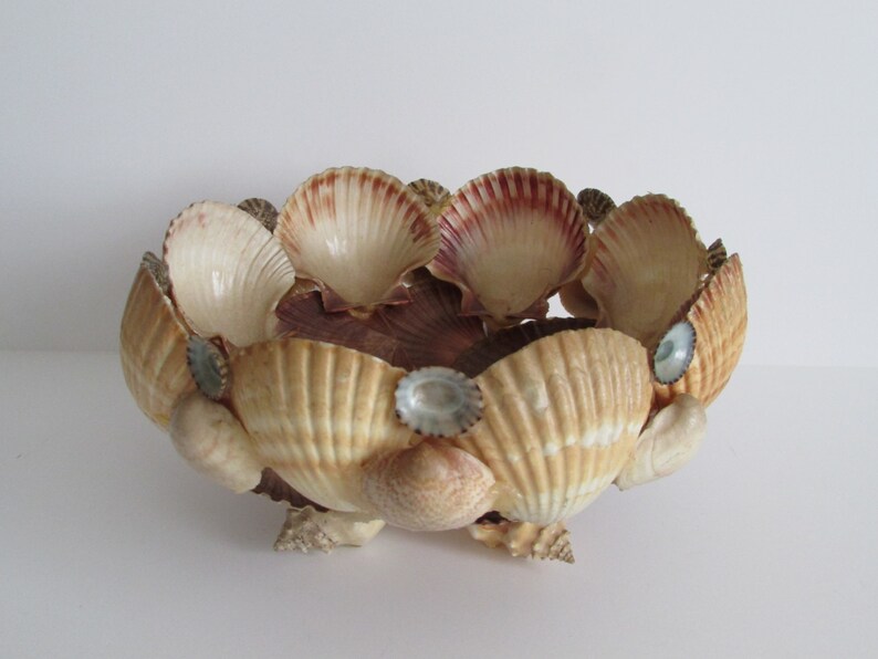 Vintage Very Large Sea Shell Bowl Conchologist Aesthetic | Etsy
