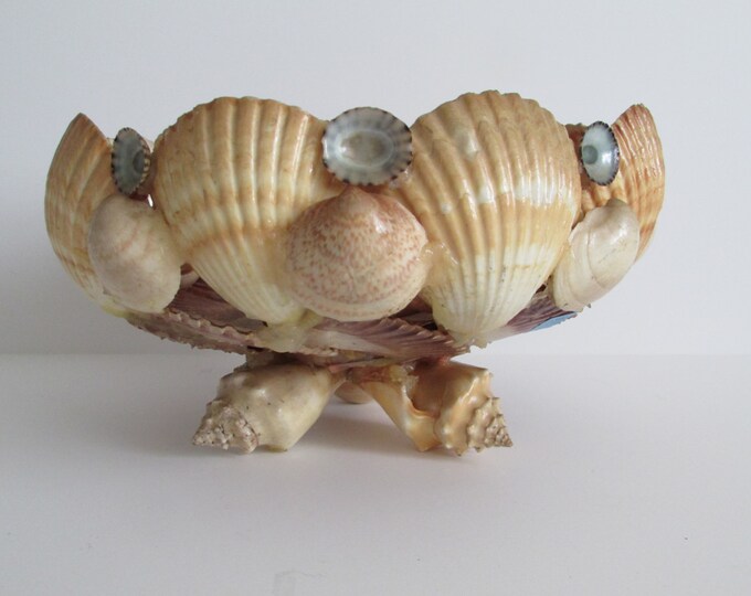 Vintage Very Large Sea Shell Bowl, Conchologist, Aesthetic, Curiosities ...