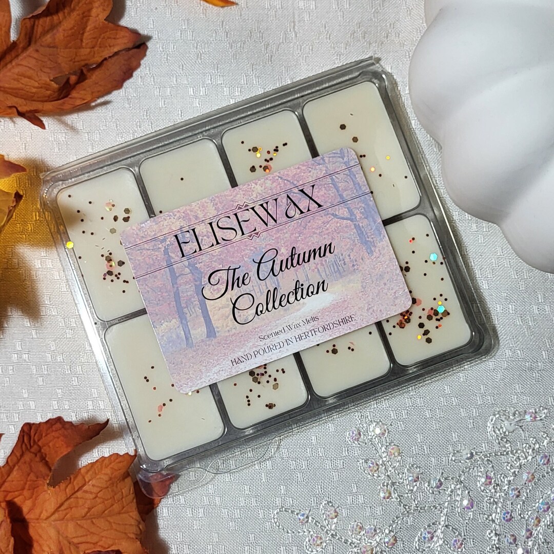 Fall Scents Wax Melt Sample Box Mixed Autumn Fragrances Wax Melt ...