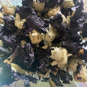 BLACK MALLOW, Black MALVA Flowers, Wild Harvested. Only 2/3 Ounce Left ...