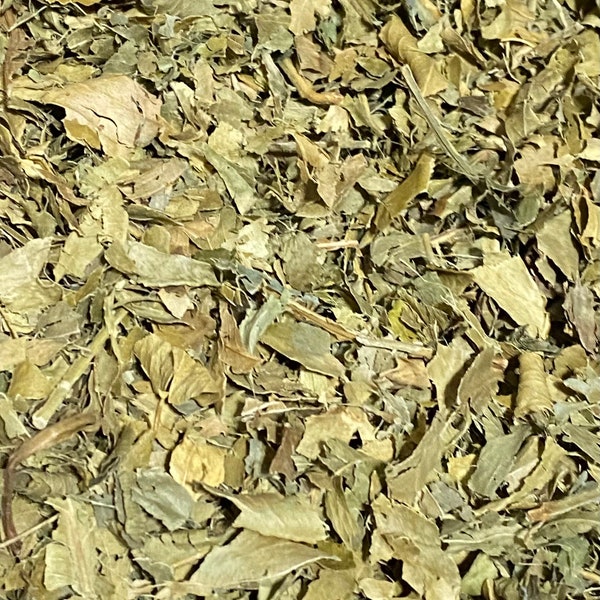Tea Tree and Lemon - Etsy