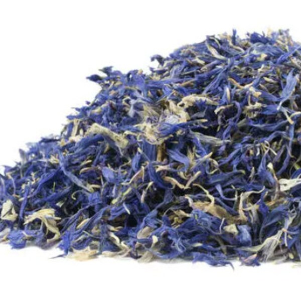 Blue Cornflower - Etsy