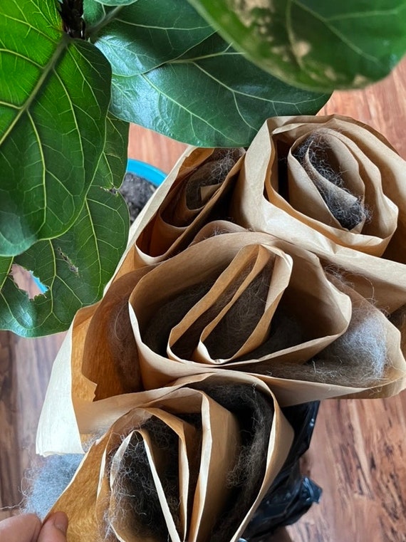 100% Huacaya Alpaca Fiber Batts All Natural Gray With Black - Etsy