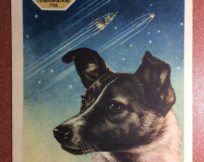 RARE Soviet Space. Famous First Dog in Space Astronaut Dog - Etsy
