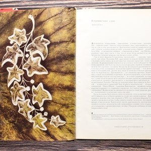 Unique JEWELS. John TRAINA. Magnificent Illustrated Vintage - Etsy