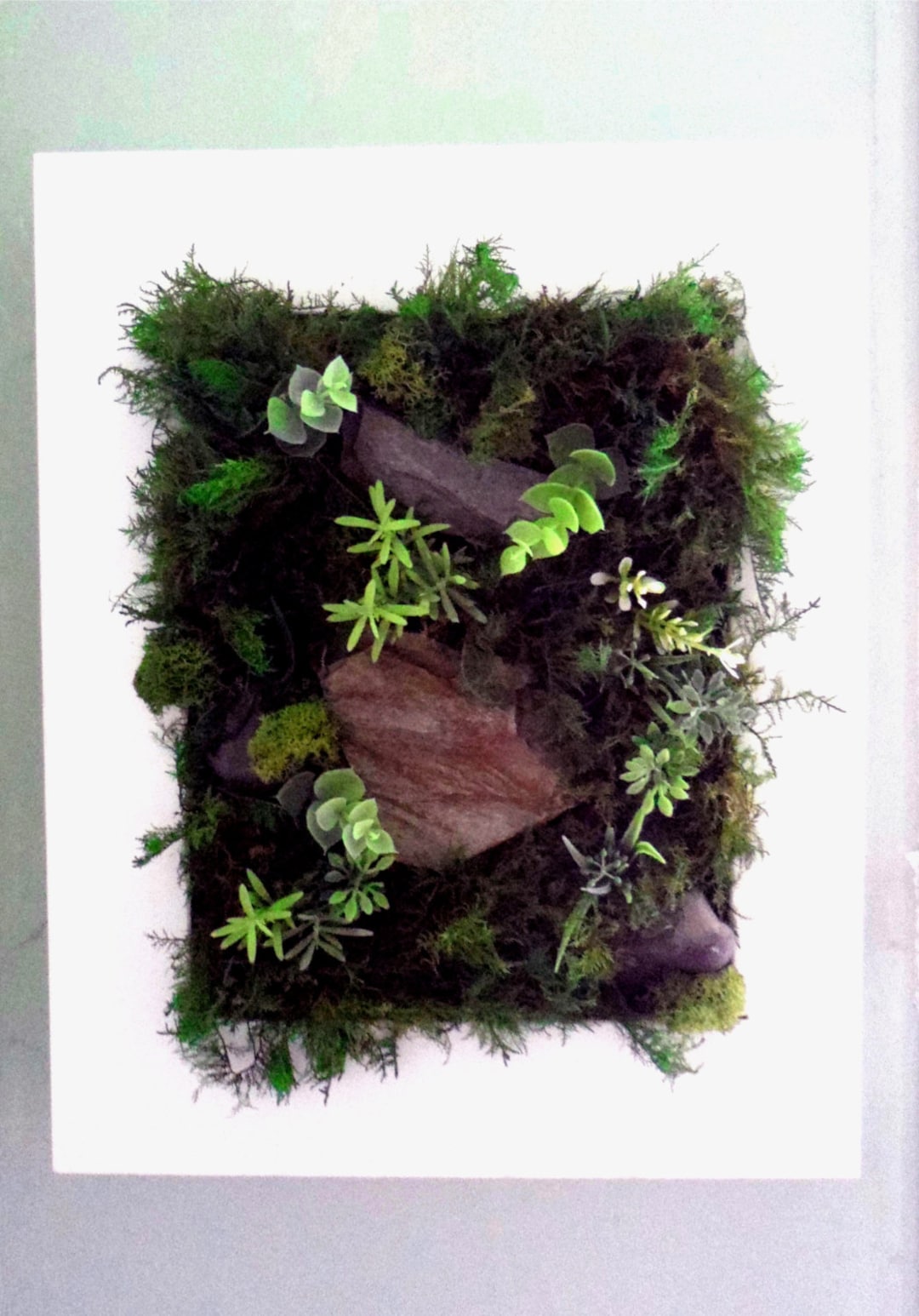Plant Table Green Wall Frame Plant Green Wall Frame - Etsy