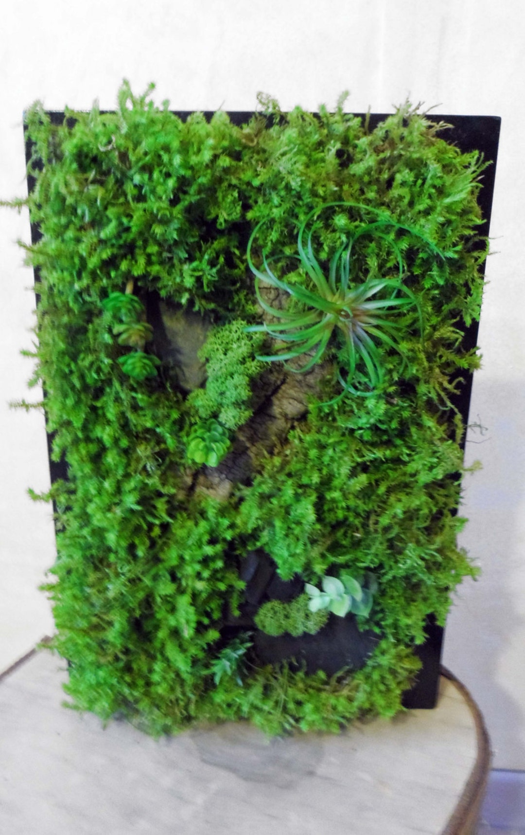 Plant Table Green Wall Frame Plant Green Wall Frame - Etsy