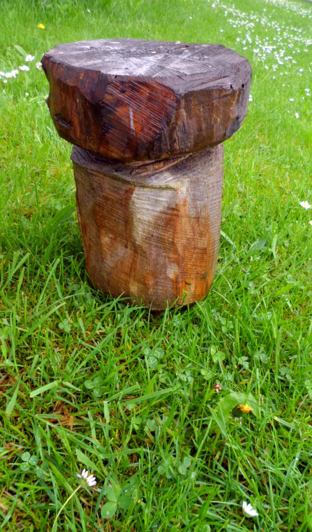 Stool Wood, Log, Wood Mushroom, Trunk, Stool Timber, Log, Wood Fungus ...