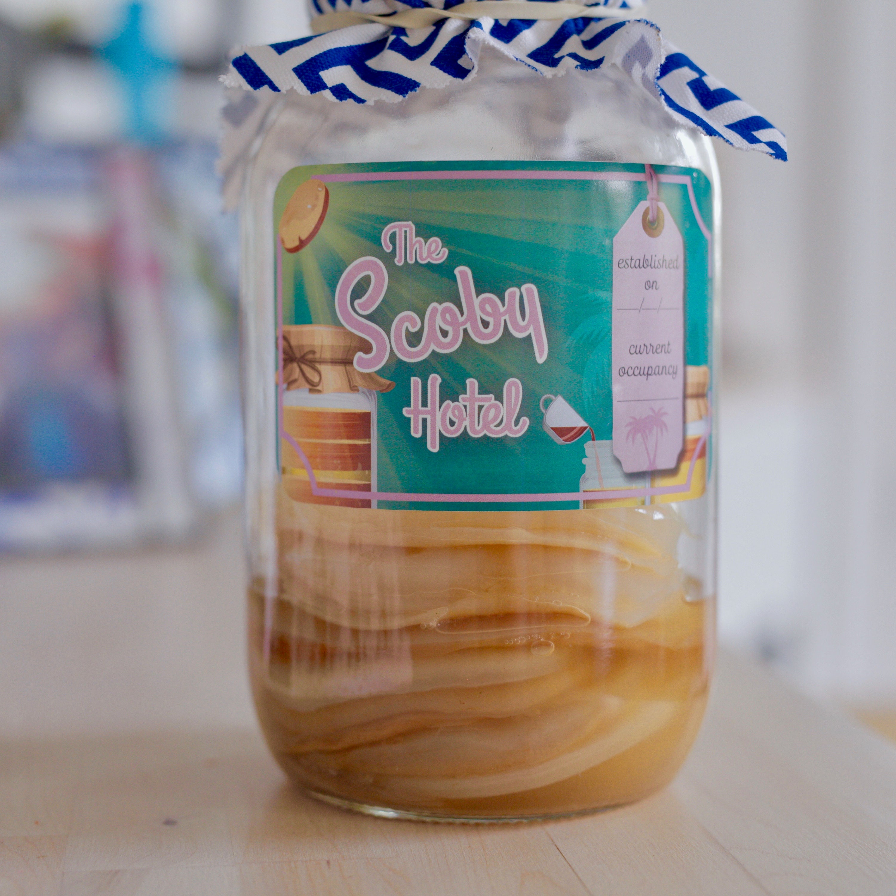 SCOBY Hotel Note-keeping and Decorative Labels - Etsy Canada