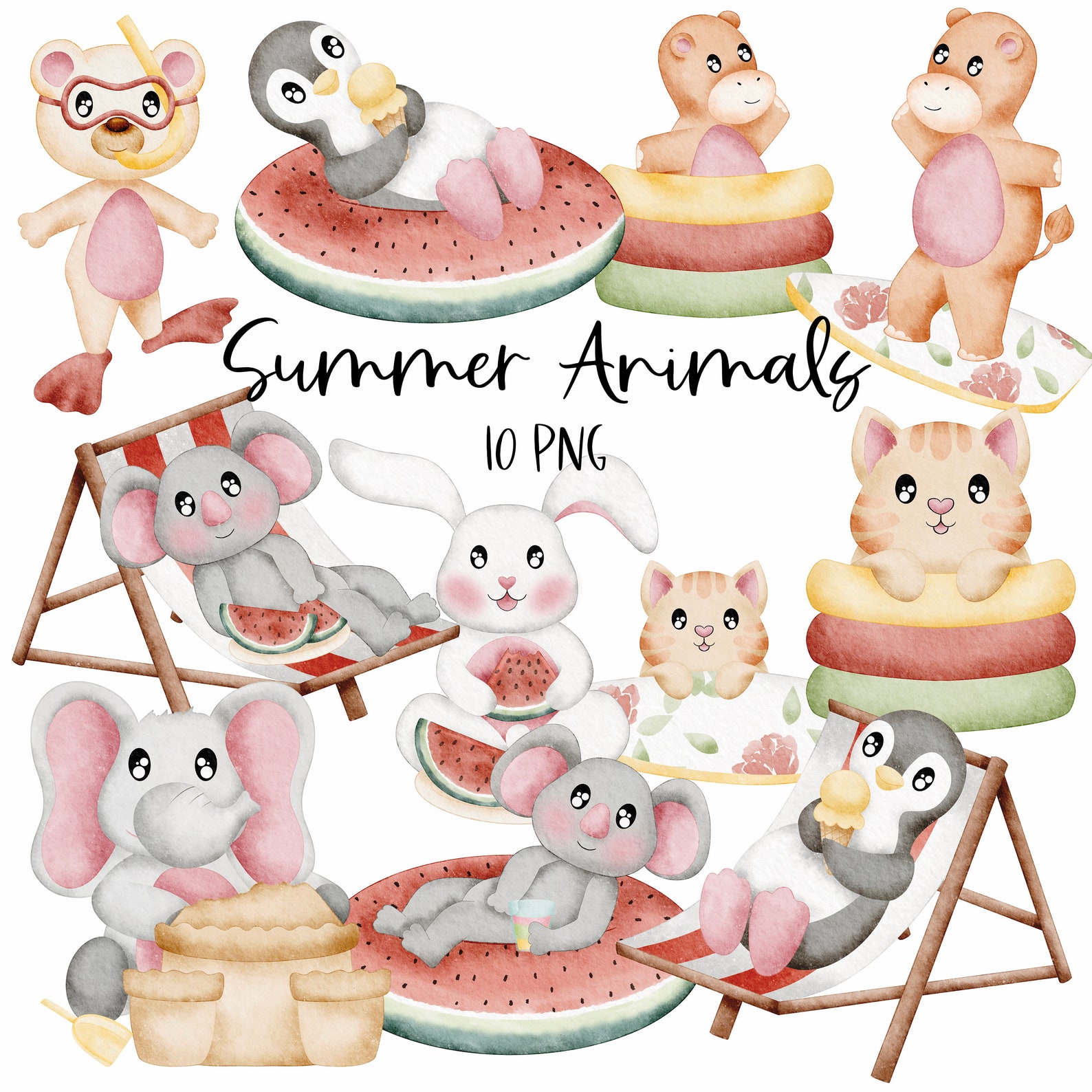 Summer Animals Clipart Graphics Digital Illustration - Etsy