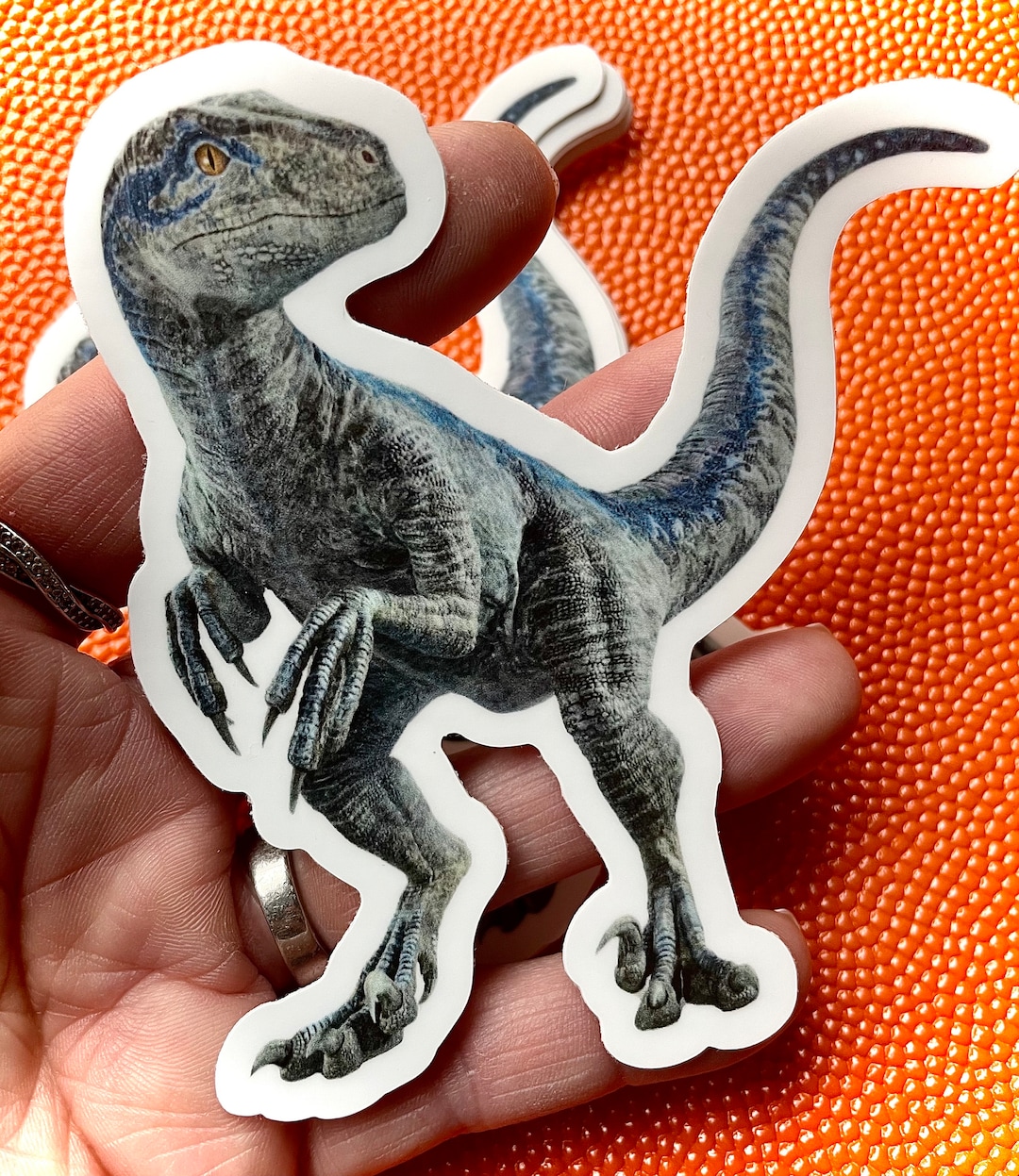 Velociraptor Vinyl Sticker, Blue Dinosaur Sticker, Raptor Stickers - Etsy
