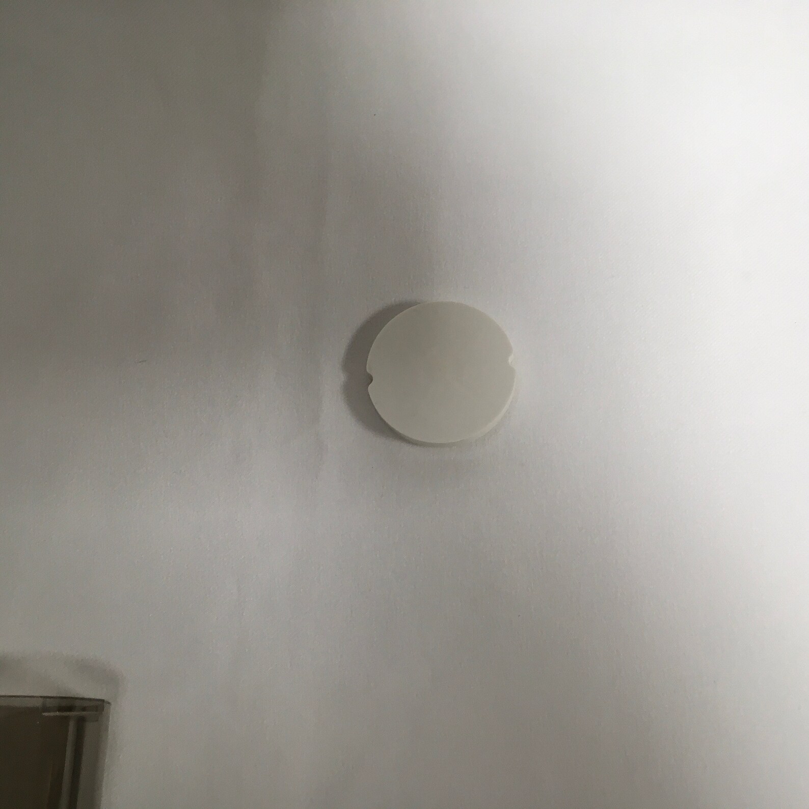 Proctor Silex Super Shooter Plus Cordless Cookie Press & Food - Etsy Canada