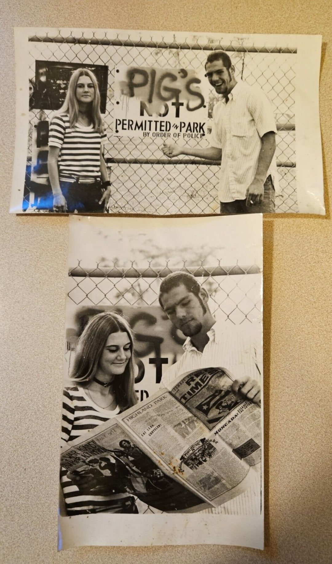 Vintage Photo Counter Culture Pigs Not Allowed the Red Times Communist ...