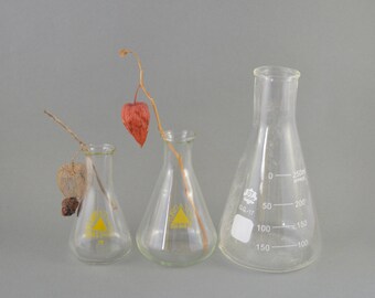 Erlenmeyer flask | Etsy