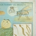Vintage Entomology Chart, Diagram of Insect Anatomy, Insect ...